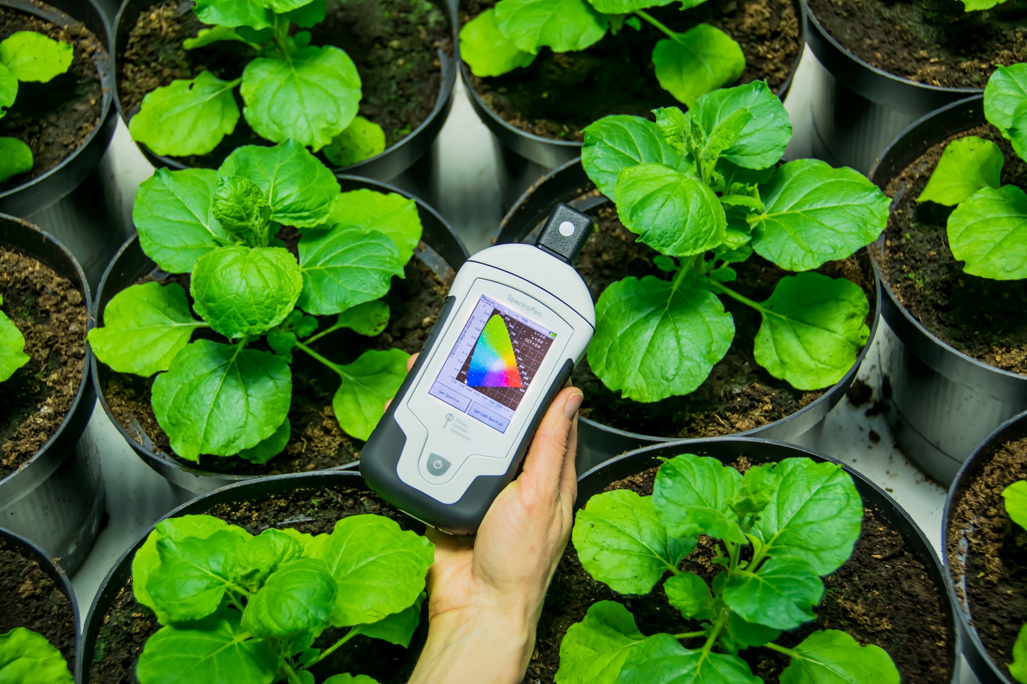 SPECTRAPEN LM 510 - morphola