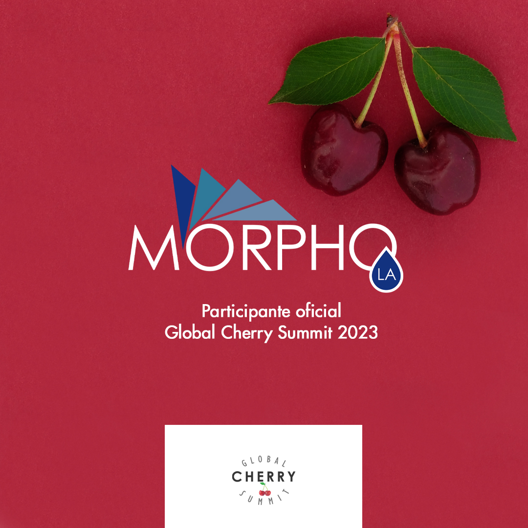 Estuvimos en el Global Cherry Summit 2023 - morphola